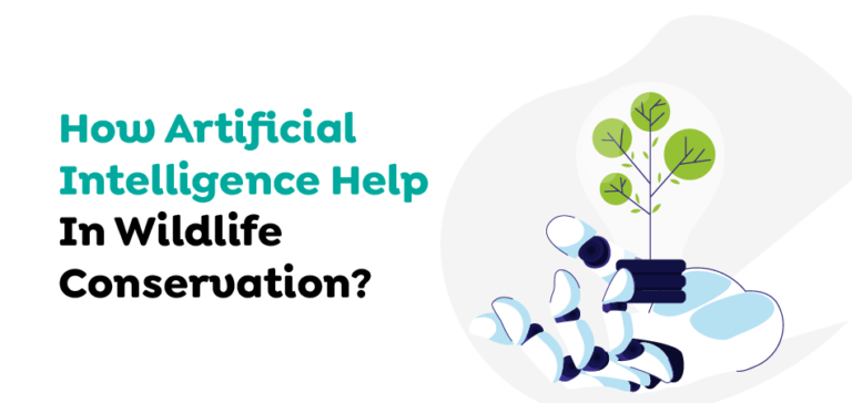 How Is Technology Helping Wildlife Conservation In Australia? - 7 Pillars