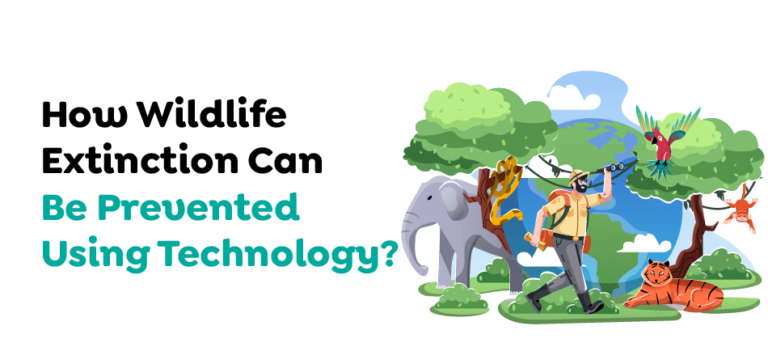 How Is Technology Helping Wildlife Conservation In Australia? - 7 Pillars