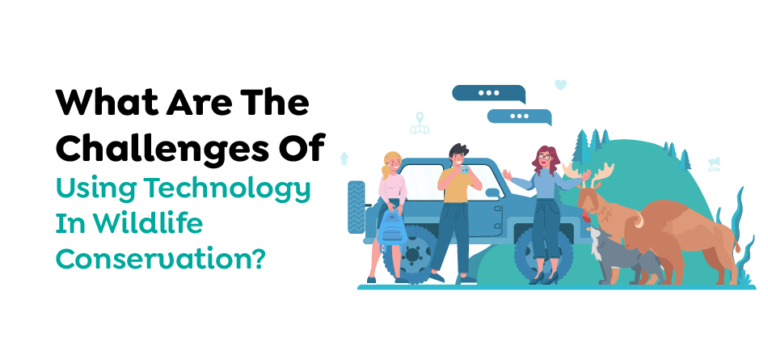 How Is Technology Helping Wildlife Conservation In Australia? - 7 Pillars